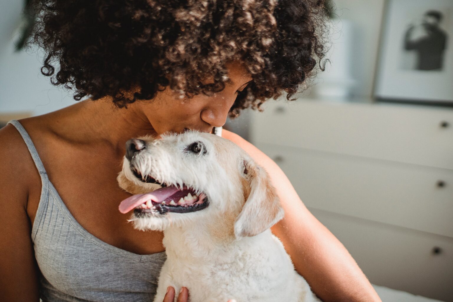 Pocket-Sized Comfort: Best Small Dog Breeds for Emotional Support - Fuzzy Furballs